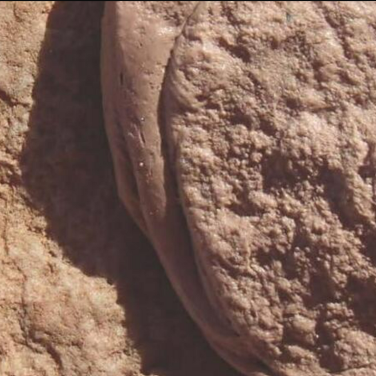 Latest News for May 2023 | Earth and Planetary Sciences